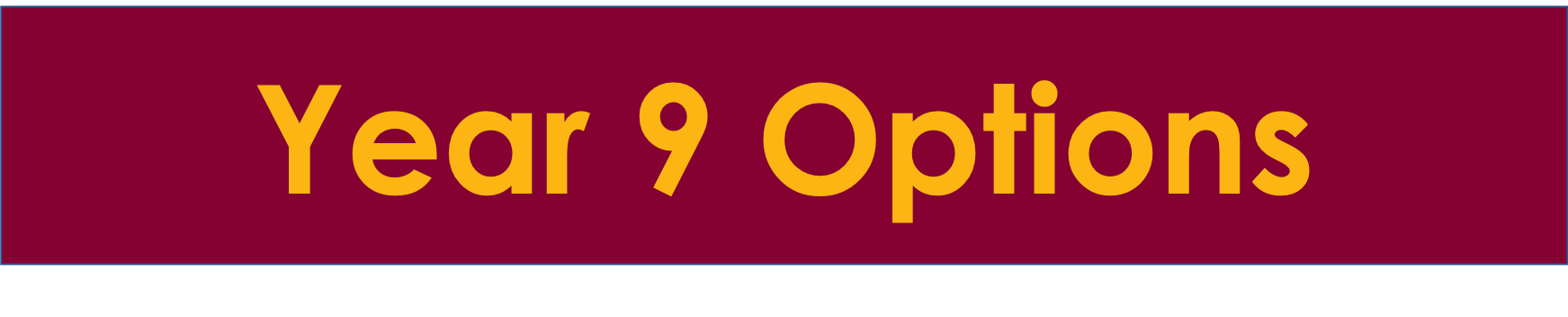 Year 9 Options - Don Valley Academy